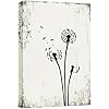 Amazon.com: wall26 Canvas Print Wall Art Black & White Grunge Dandelion ...