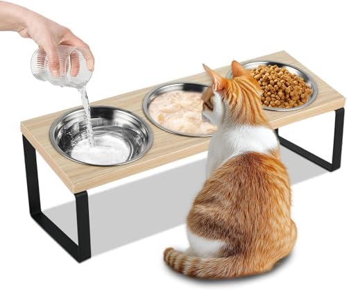 Raised Cat Food Bowl Set, 3PCS Stainless Steel Cat Bowls with 15° Stand ...