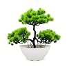 Buy PLANTWALLA Artificial Bonsai Tree with White Pot, Green, Plastic ...