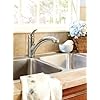 Moen CA87316SRS Pullout Spray Faucet from The Renzo Collection, Spot ...