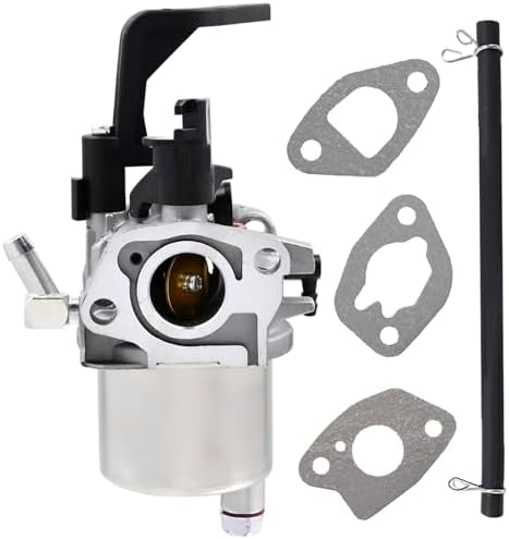Amazon.com: Hypersky Carburetor for LCT 03021 LCT03022 OEM HUAYI L10 ...