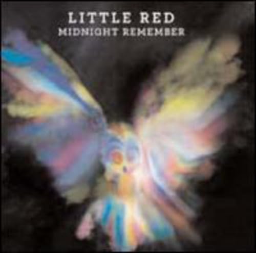 Amazon.com: Midnight Remember: 0744861606727: Little Red: Books