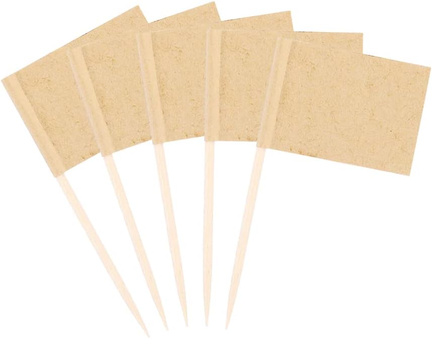 Amazon.com: Toothpicks Flag Cheese Markers 100 Pcs Fancy Toothpicks For ...