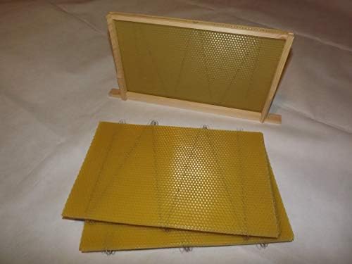 Beekeeping Supplies UK Ltd - Beehive Brood Frames - DN4 x 10 - Hoffman ...