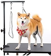 Amazon.com: Breeze Touch Dog Grooming Table Arm - Overhead Pet Grooming ...