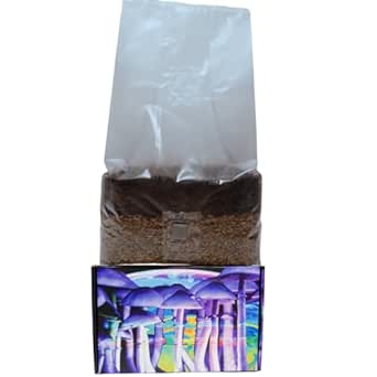 Amazon.com : Jumbo 6 Pound Magic All in One Mushroom Grow Bag : Patio ...