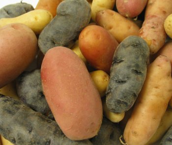 Amazon.com: Melissa's Mixed Baby Potatoes, (3 lb) : Grocery & Gourmet Food