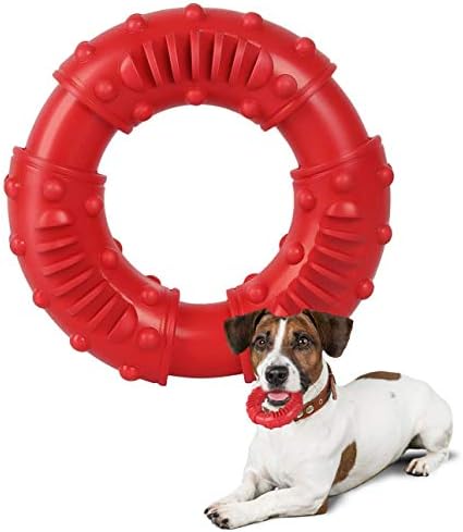 Pet Supplies : WoofBite "Indestructible Ring Dog Toy - Lifetime ...