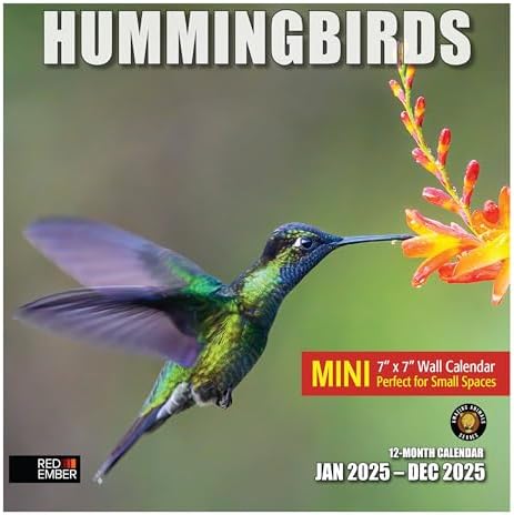 Amazon.com: 2025 Wall Calendar Hummingbird | 12 Monthly Hangable ...