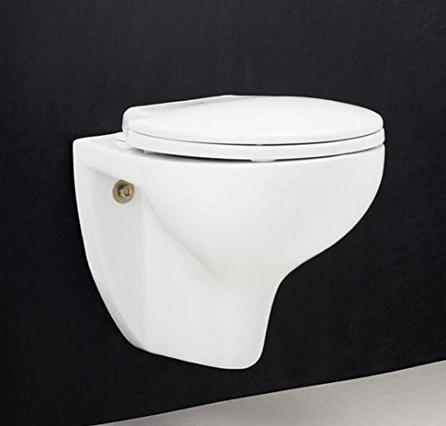 Hindware Mario Wall Mounted Closet (Starwhite) : Amazon.in: Home ...