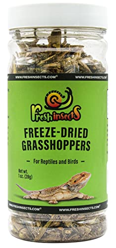 Freshinsects Freeze Dried Grasshoppers, Reptile Food or Treats ...
