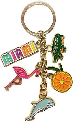 Amazon.com: American Cities and States Metal Quality Keychains (Miami 5 ...