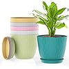 Amazon.com: 6 Inch Plant Pots, 6 Pack Flower Pots for Indoor and ...
