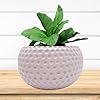 Amazon.com : Wowser Golf Ball Shaped Planter Pot, Home & Garden Decor ...