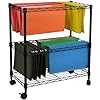 Amazon.com: Oceanstar Portable 2-Tier Metal Rolling File Cart, Black ...