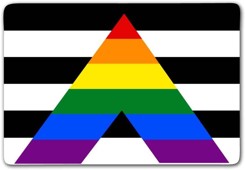 Amazon.com: Ally LGBTQIA+ Pride Flag 14 Inch Full Color Static Window ...