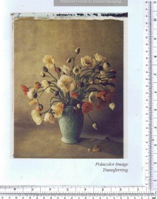 Polacolor Image Transferring: Polaroid Guide To Instant Imaging: Amazon ...