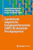 【発売日：2025年08月30日】・ブランド:Springer・製造元:Springer Vieweg