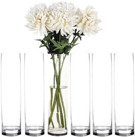 Amazon.com: Craft and Party Cylinder Glass Vase, 6 Pack 20" Clear ...