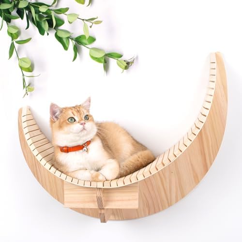Amazon.com : Arf Pets Cat Shelf, Wall-Mounted Desined Wooden Cat Perch ...