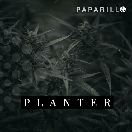 Play Planter by Paparillo on Amazon Music Unlimited