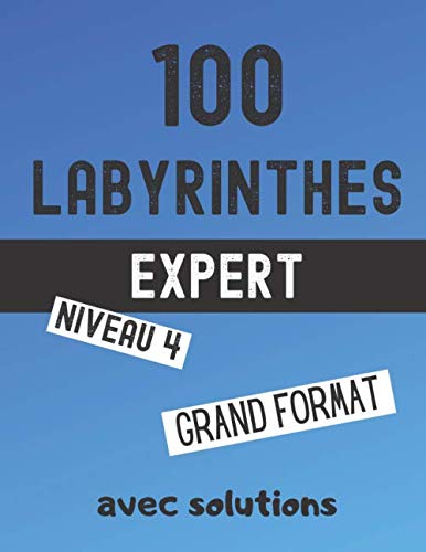 Amazon.com: 100 Labyrinthes Expert Niveau 4 Grand Format Avec Solutions ...