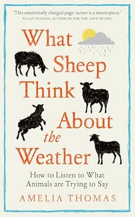 What Sheep Think About the Weather: Thomas, Amelia: 9781783969234 ...
