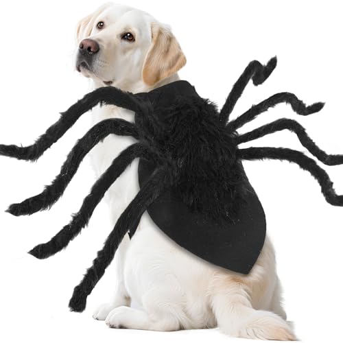10 Best Dog Spider Costume [2025]