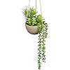 Hollyone Artificial Hanging Plants, Fake Potted Succulents with Hemp ...