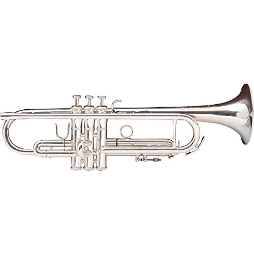The 29 Best Jupiter Trumpets of 2025 [Verified] - Cherry Picks