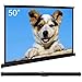 Amazon.com: Cocar P1-SN50 50 inch Portable Projection Screen for Mini ...