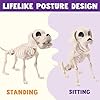 Amazon.com: JOYIN Posable Halloween Dog Skeleton Full Body Posable ...