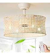 hummingbird 20 Inch Boho Ceiling Fans with Light Flush Mount, Rattan ...