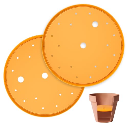 Best Pots with Insert: Elevate Your Cooking Game with These Top Picks ...