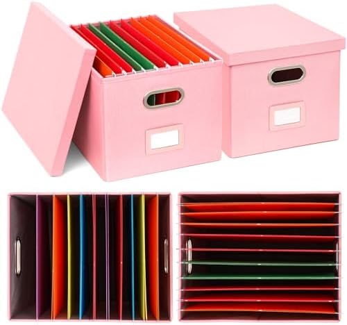 Amazon.com : Amylove 2 Pcs File Organizer Box with Lid Collapsible ...