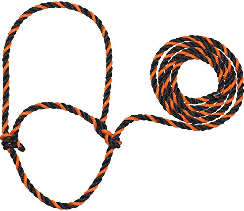 10 Best Weaver Rope Halters for Your Equine Companion: A Comprehensive ...