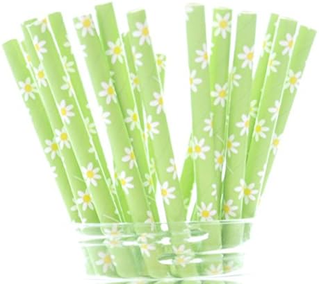 Amazon.com: AnyDesign 60Pcs Daisy Paper Straws Groovy Hippie Boho ...
