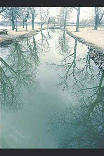 Playthings with the Devil: 7 Tales of Twisted Terror: McAdoo, Allisha ...