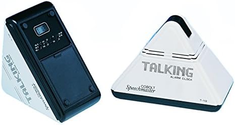 Five senses - atomic talking alarm clock for mom and dad or visually ...