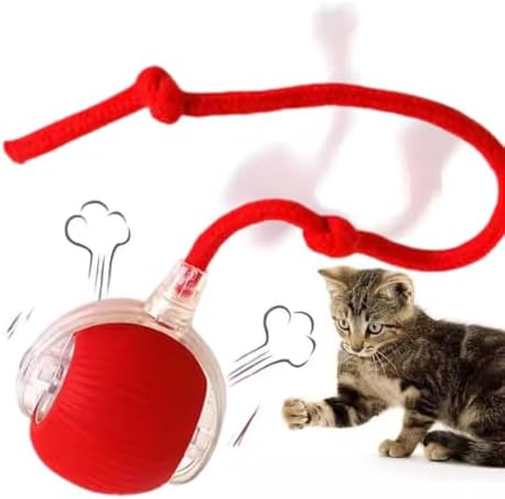 Amazon.com : Interactive Pet Bouncing Ball, Rechargeable Red Electric ...