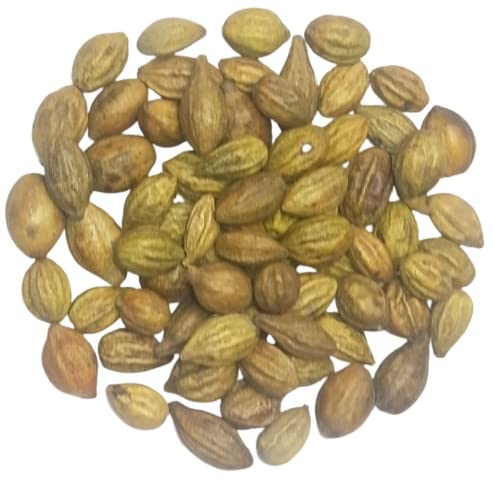 Buy BUDHAN Kadukkai / 500 Grams / haritaki / Inknut / harde whole ...
