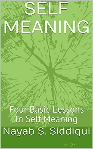 SELF MEANING: Four Basic Lessons In Self Meaning eBook : Siddiqui ...