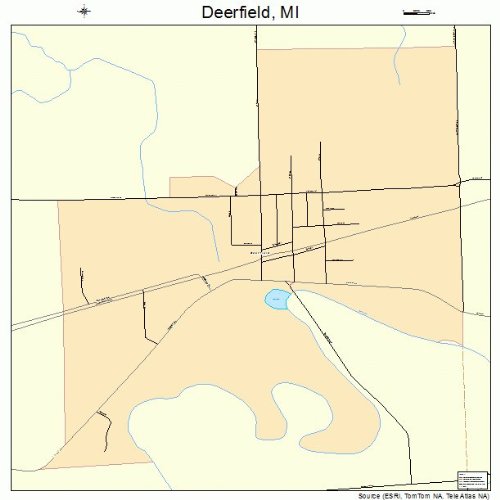 Amazon.com: Large Street & Road Map of Deerfield, Michigan MI - Printed ...