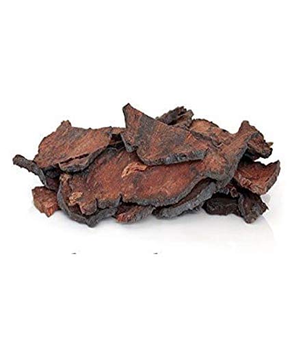 Vachellia Nilotica Bark-Babool Tree Bark-Kikar ki Chaal-Gum Arabic Tree ...