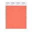 Amazon.com: PANTONE Smart 16-1336X Color Swatch Card, Biscuit : Office ...