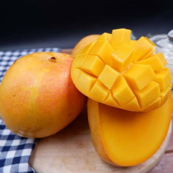 Yellow R2E2 Mango Plant Original Australian Variety Grafted Live Plant ...