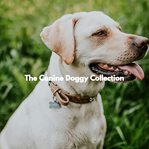 The Canine Doggy Collection by Dog Sleeping Soundtracks Deluxe on Amazon Music - Amazon.co.uk