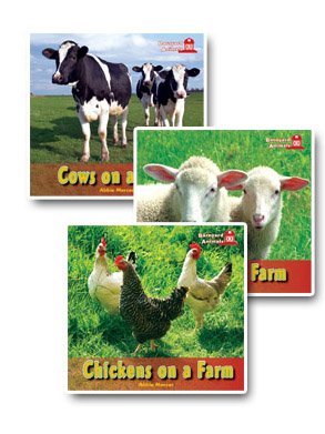 Barnyard Animals: Mercer, Abbie: 9781435832886: Amazon.com: Books