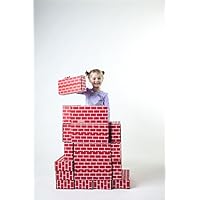 Mondo Bloxx 20 Pack Cardboard Block Brick Set (12x6x3) USA Made! : Toys ...