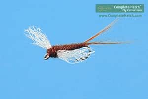Amazon.com : Western Green Drake - Spinner : Dry Fishing Flies : Sports ...